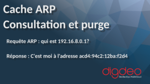Cache ARP MAC/IP pour Linux / Windows / MacOS - DigDeo